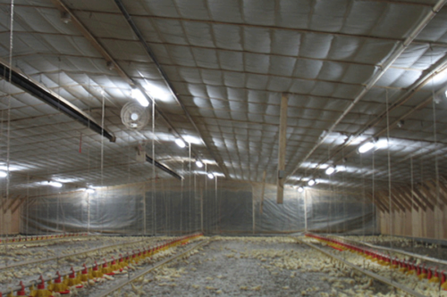 Systel, le choix du système de chauffage adapté aux bâtiments d’élevage